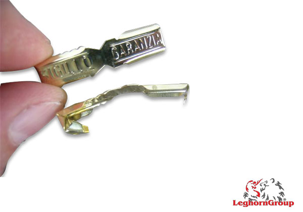 MATCRIMP 34×8 - LeghornGroup