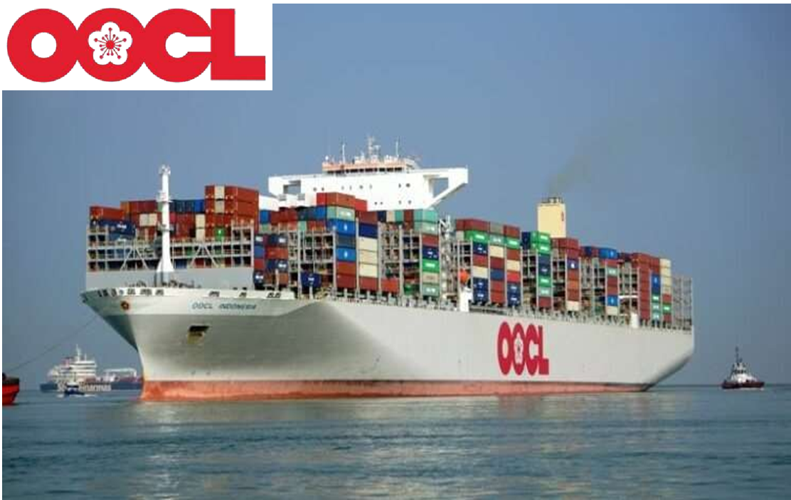 Die 20 größten Container Reedereiden der Welt im Jahr 2023 - LeghornGroup